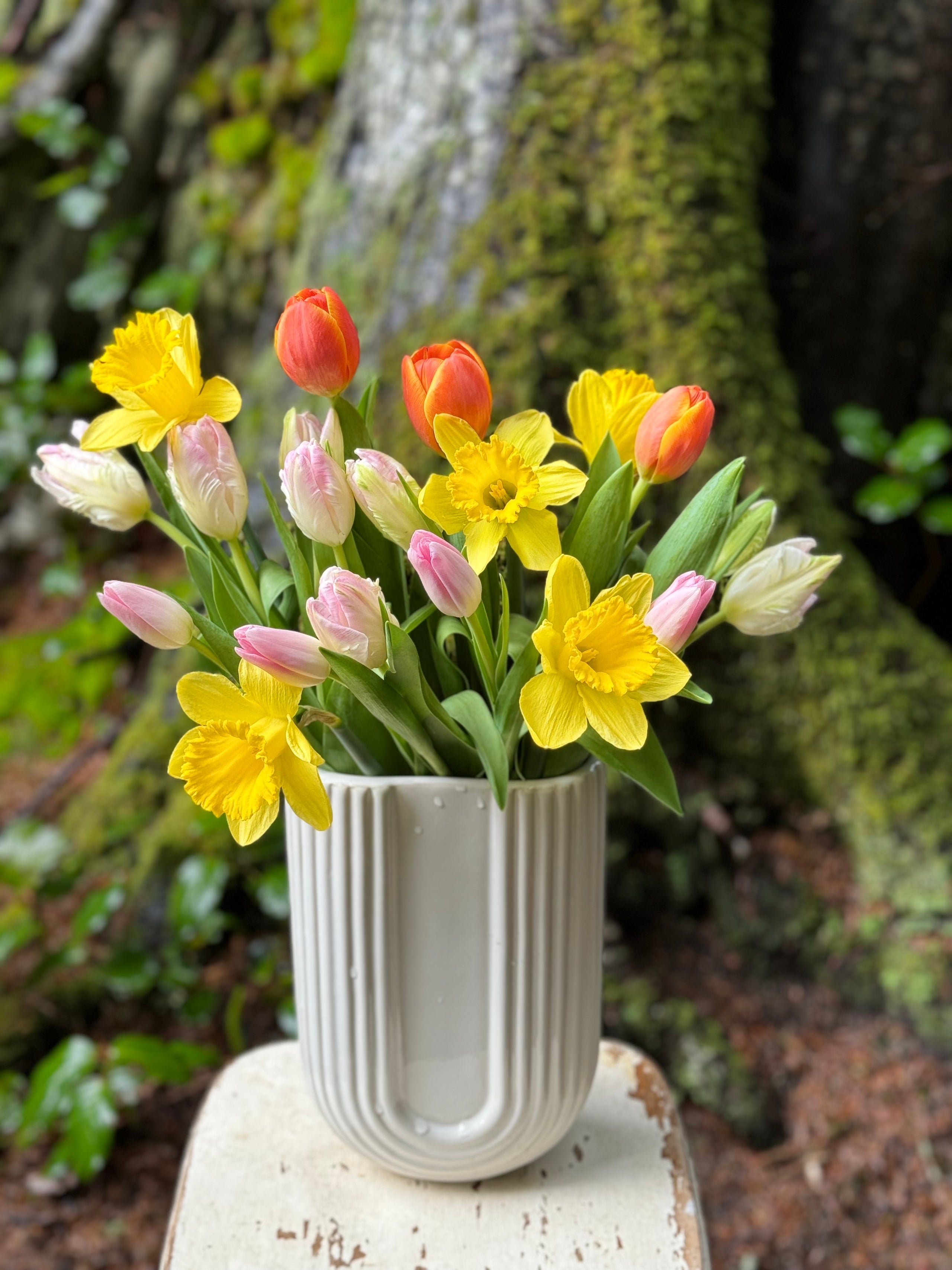 Modern Spring Vase | Rhodesia Flower